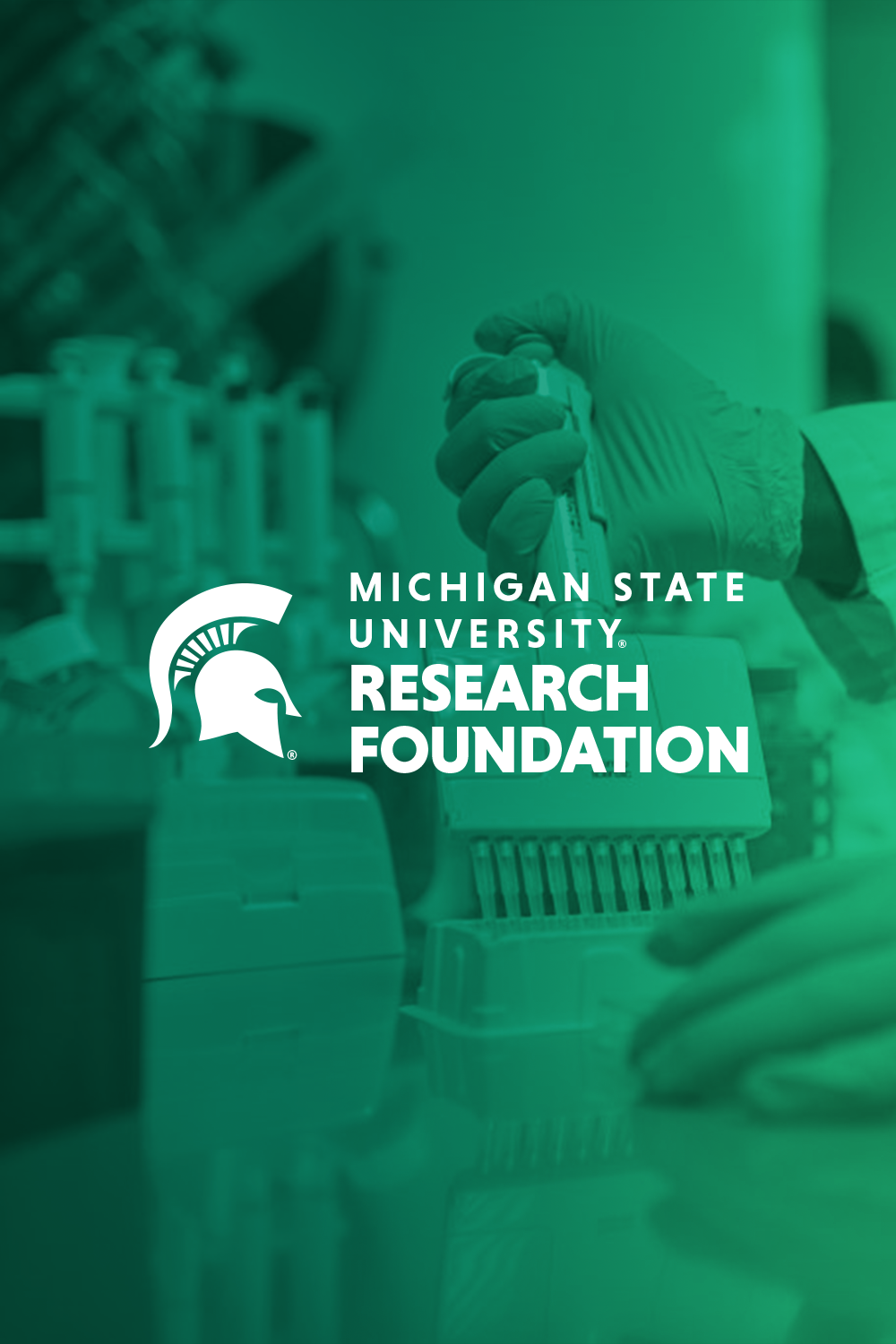 Office of Research and Innovation at MSU | Office of Research and Innovation